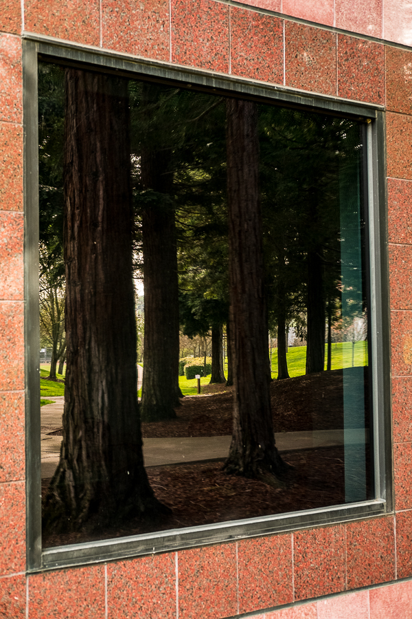 San Ramon Community Center – Dancing to the Words